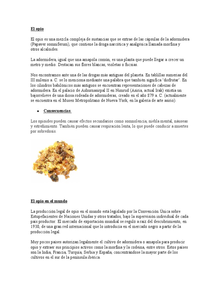 Opio y sus efectos | PDF | Opio | Cannabis (Droga)