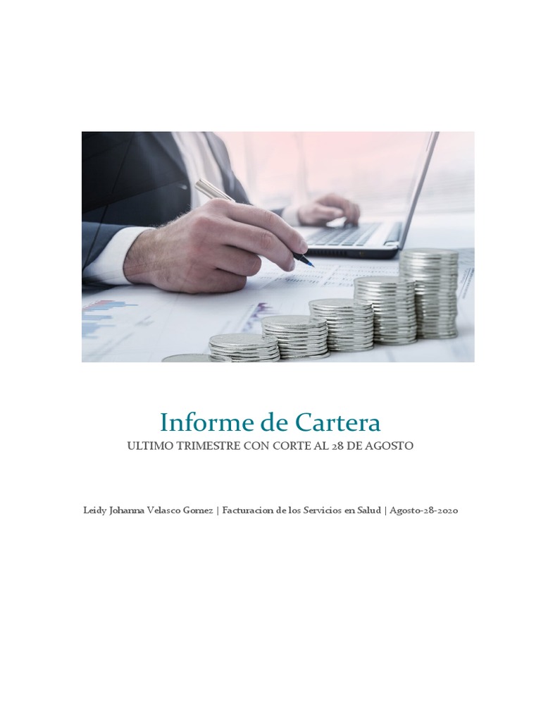 Informe de Cartera | PDF