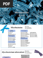 Fusobacterium necrophorum: Patología y Tratamiento | PDF | Las bacterias | Infección