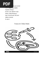 Prueba Evaluación Del Desarrollo Infantil "EDI" | PDF | El embarazo | Parto