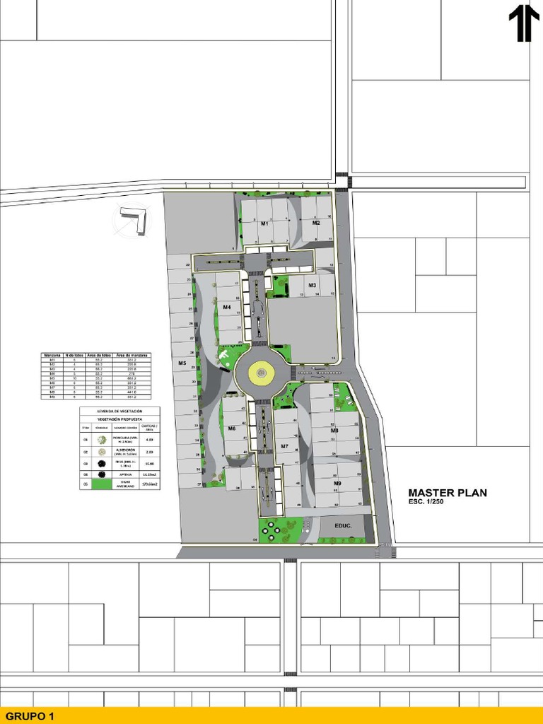 Plano de Master Plan 250 para Exportar | PDF