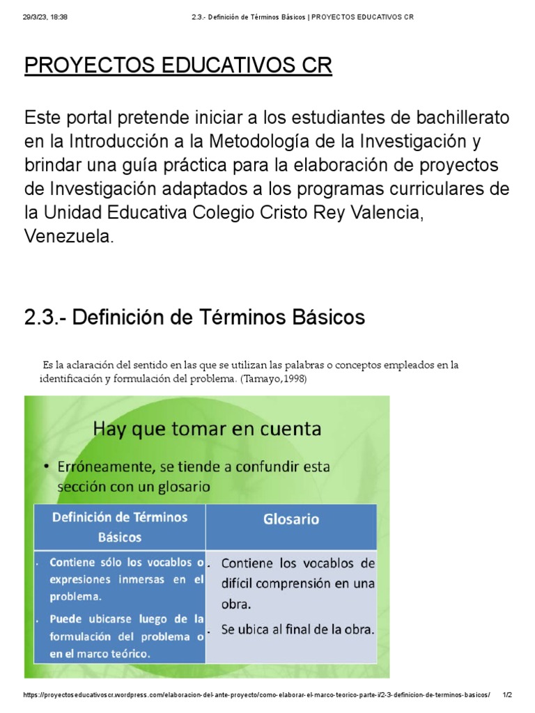 Definición de Términos Básicos en Proyectos | PDF