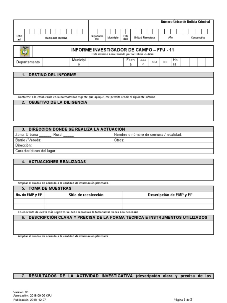 FPJ 11 Informe Investigador de Campo V 0 | PDF