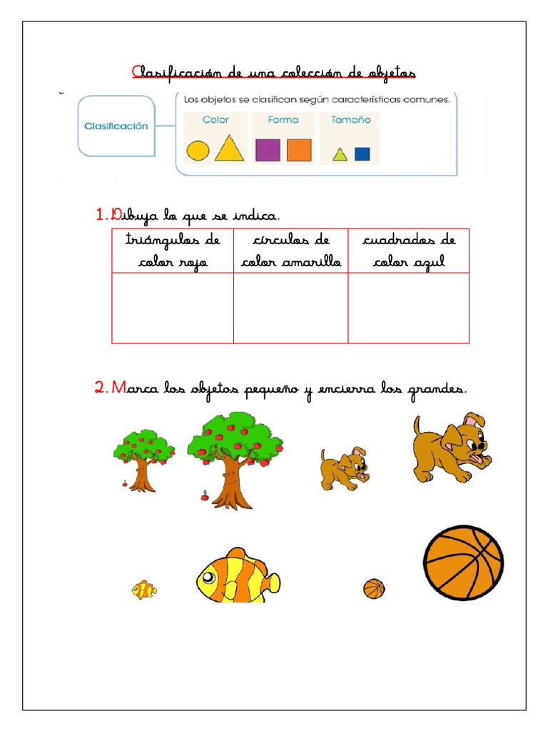 Clasificación de Una Colección de Objetos | PDF