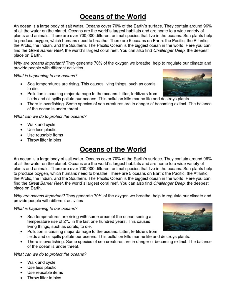 Oceans of The World | PDF | Oceans | Sea