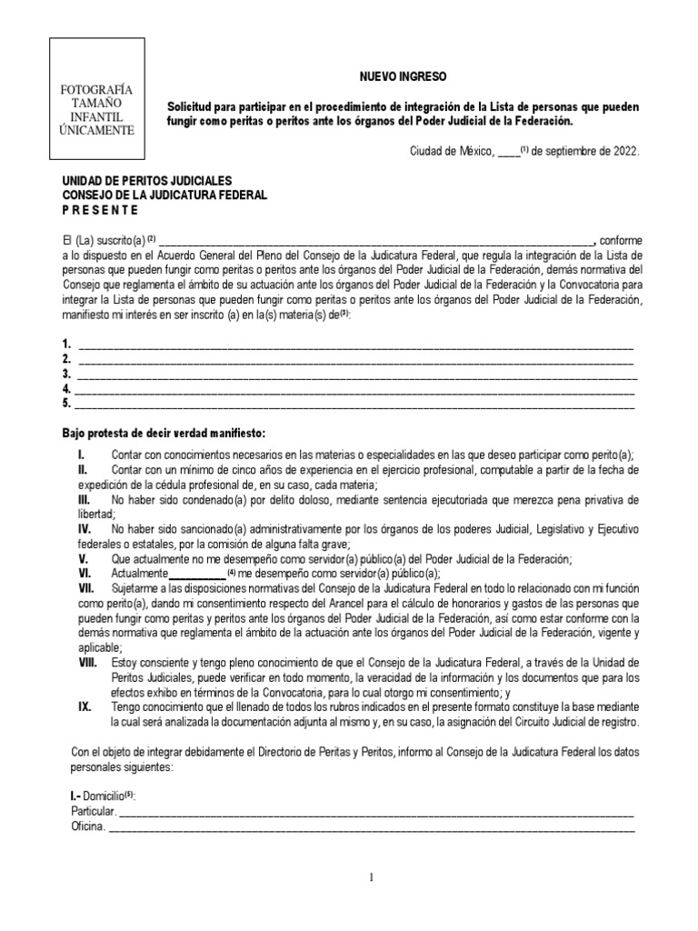 Solicitud para Peritos Judiciales 2023 | PDF | Traducciones | Judicaturas