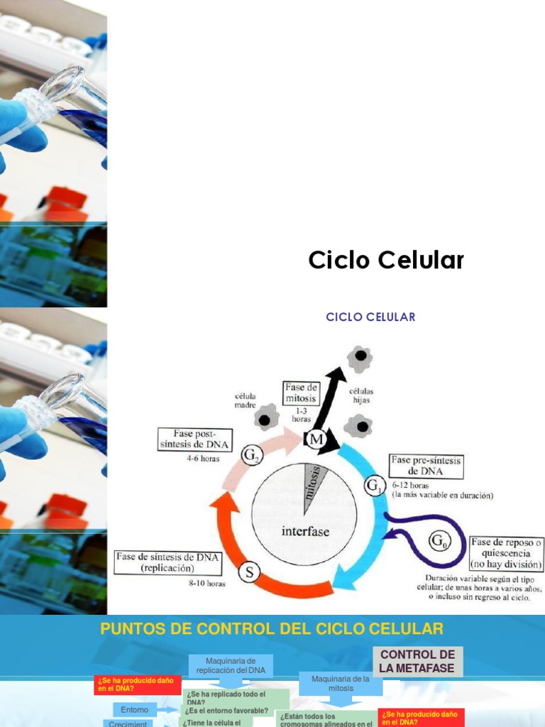 Resolucion Unidad 3-3parte | PDF