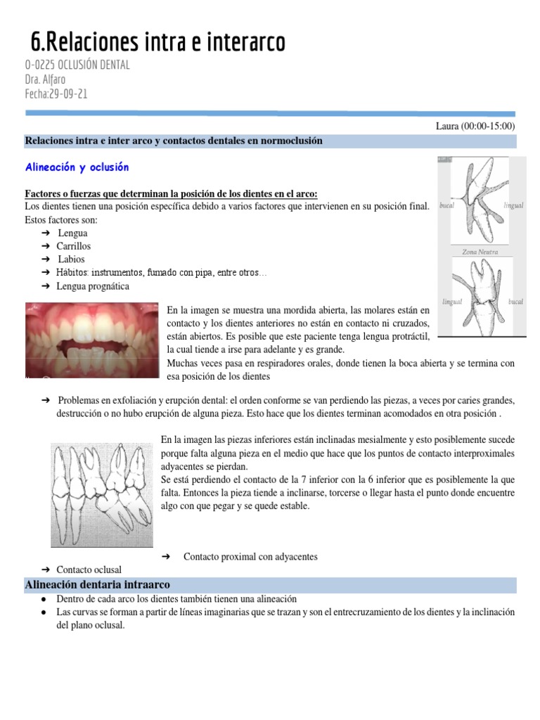 6.relaciones Intra e Interarco | PDF | Odontología | Diente