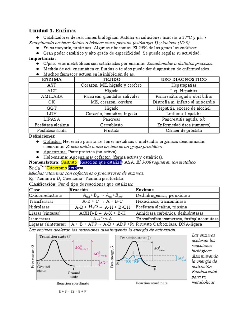 Parcial I Bioquímica | PDF | Enzima | Trifosfato de adenosina