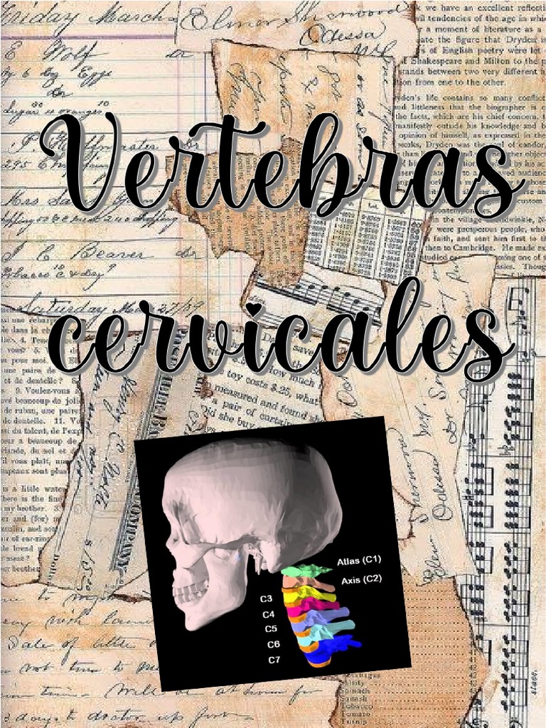 Apófisis Semilunares en Vértebras Cervicales | PDF | Vértebra | Sistema ...