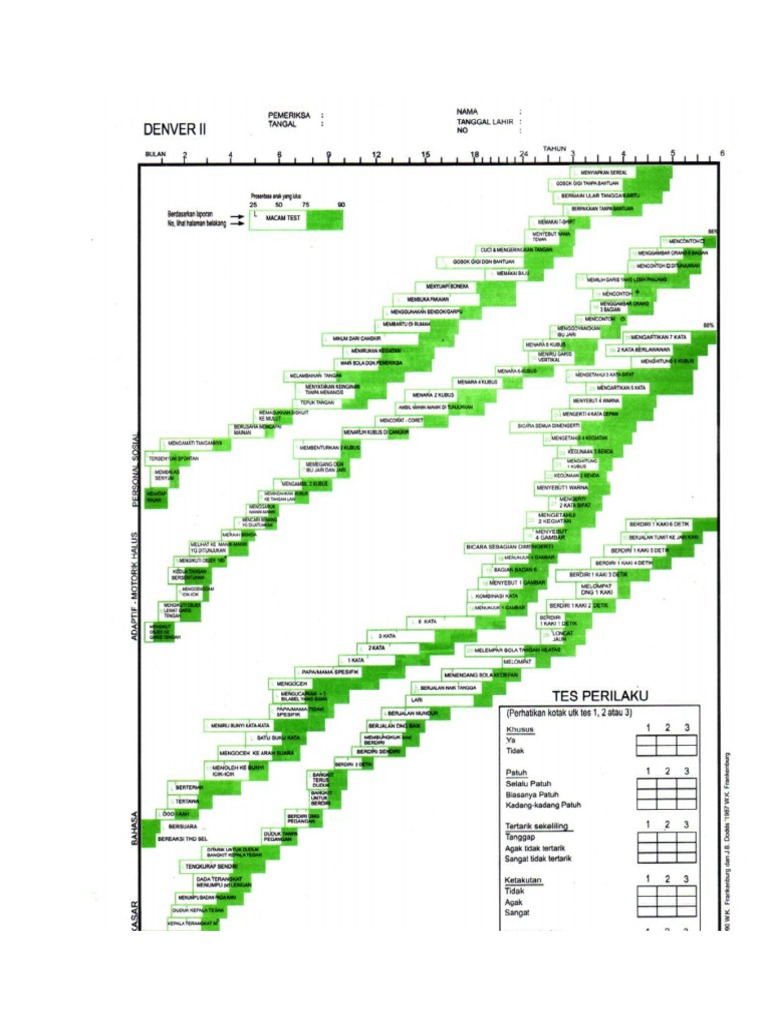 Format Denver 2 | PDF