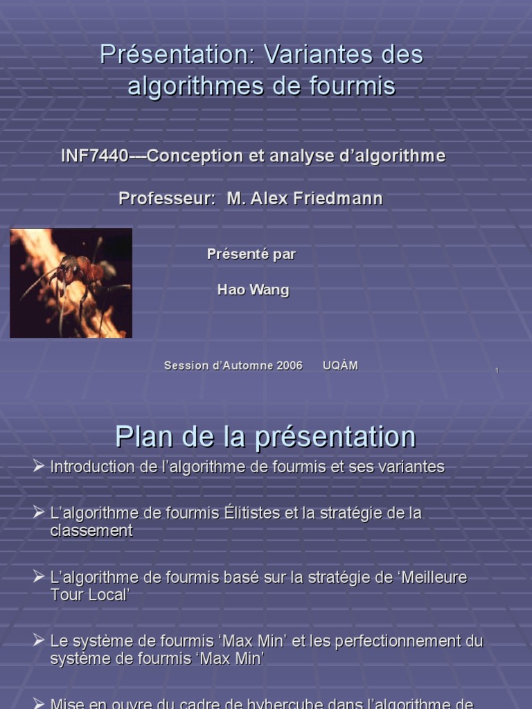 Algos Fourmis | PDF | Informatique théorique | Algorithmes et structures de données