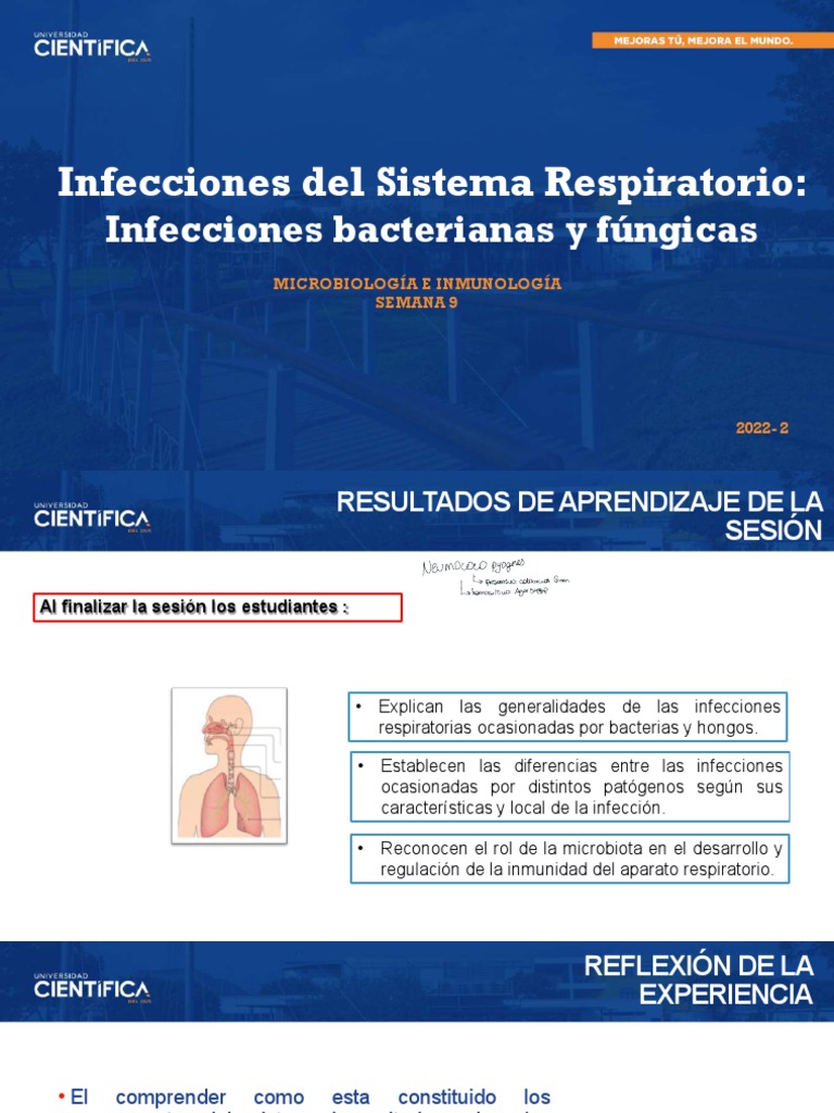Clase N9 - Infecciones Del Sistema Respiratorio - Bacterias y Hongos | PDF | Tuberculosis ...