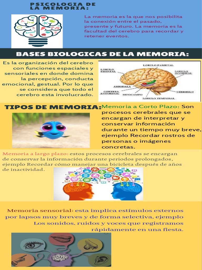 Psicologia De La Memoria Pdf