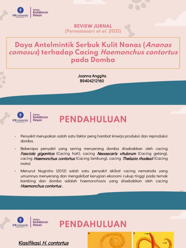 Kulit Nanas Untuk H.contortus | PDF