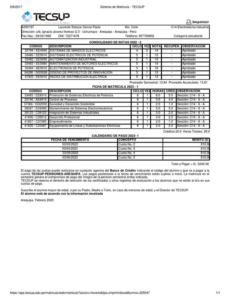 Sistema - de - Matricula - TECSUP Dana | PDF | Electricidad | Ingenieria Eléctrica