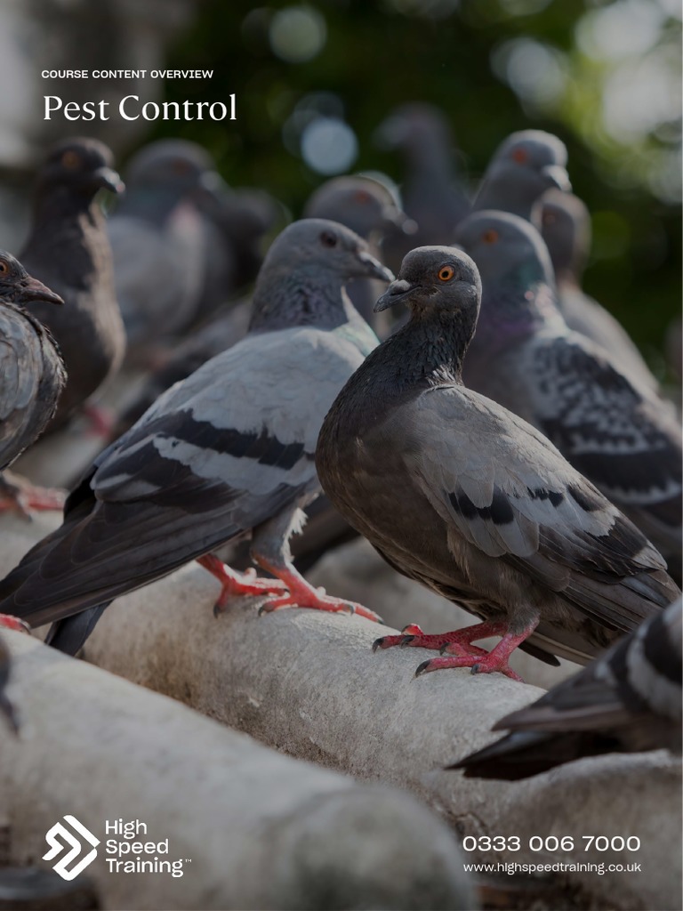 Pest Control Course for Food Safety | PDF | Pest (Organism) | Pest Control