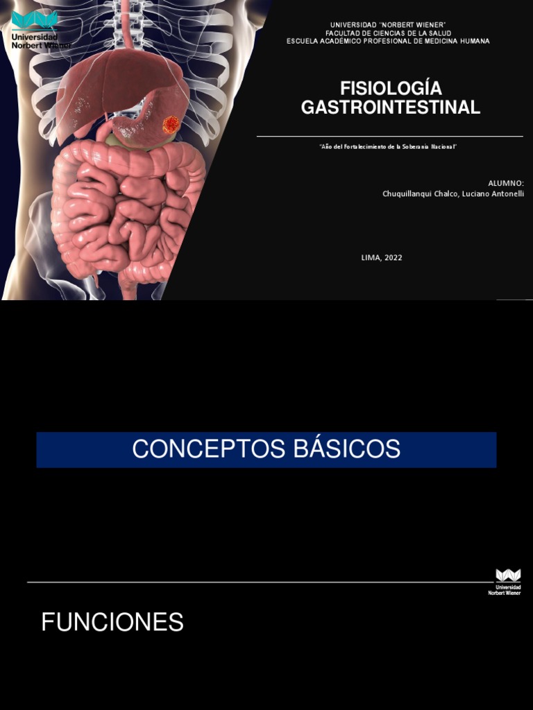 Fisio Gastro Resuelto | PDF | Digestión | Estómago