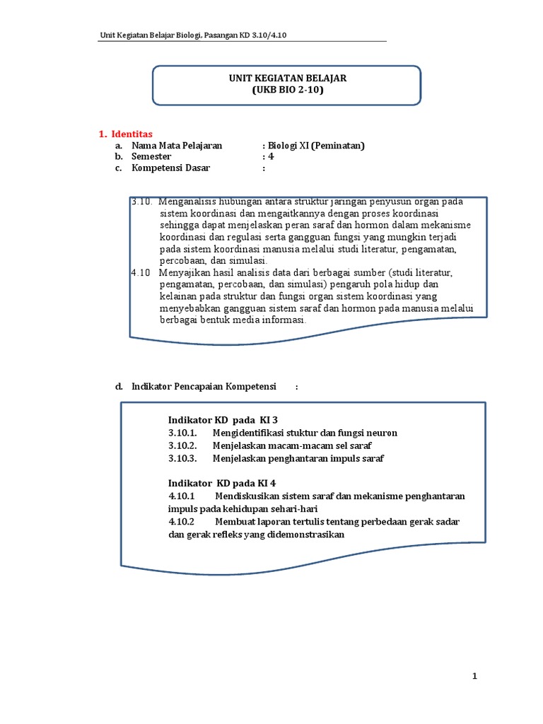 UKB BIO XI Saraf | PDF