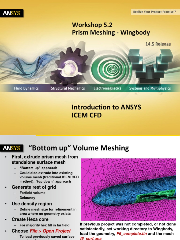 ICEM-Intro 14.5 WS5.2 Wingbody Prism | PDF | Histogram | Volume