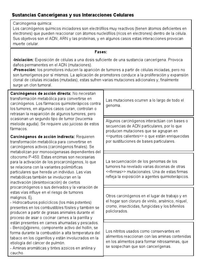 Sustancias Cancerígenas y Sus Interacciones Celulares | PDF | Virus | Cáncer