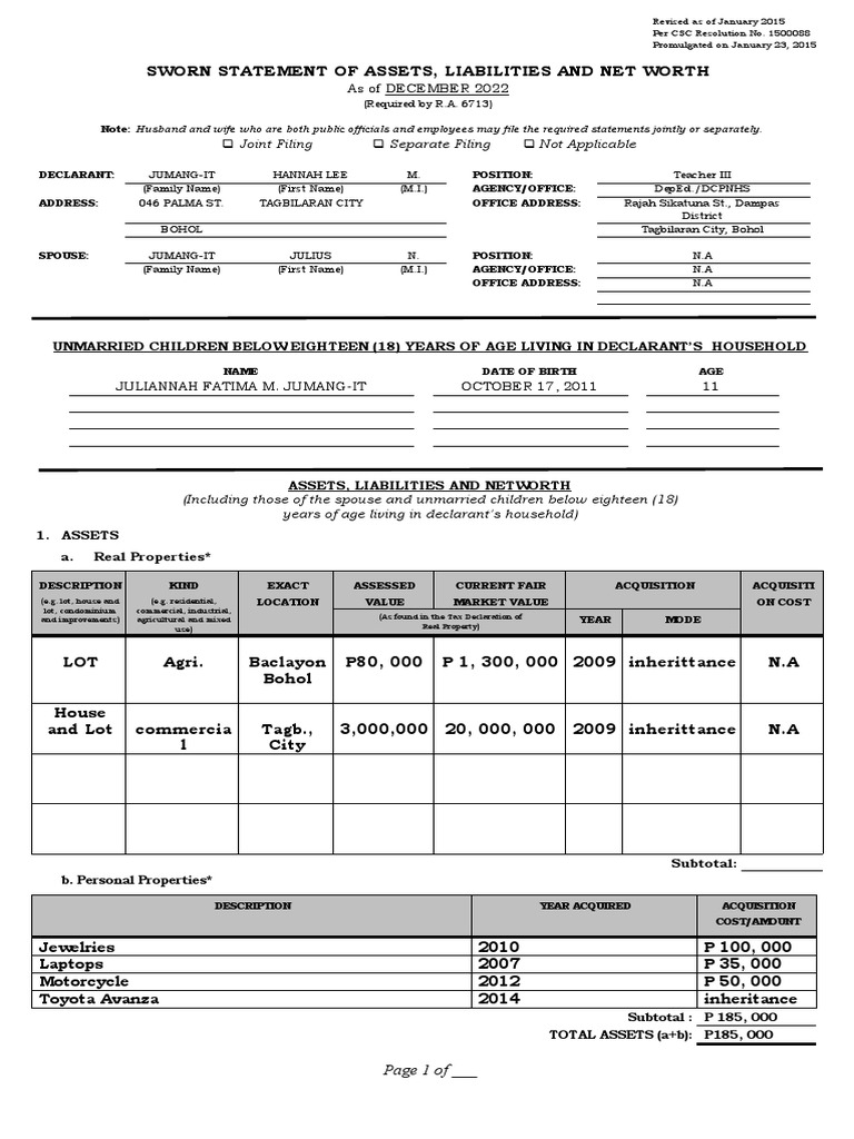 2023 SALN Form | PDF | Net Worth | Business