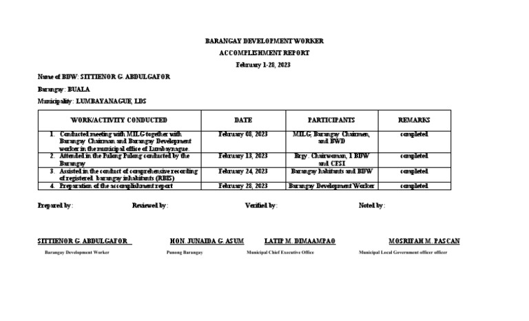Barangay Development Summary | PDF