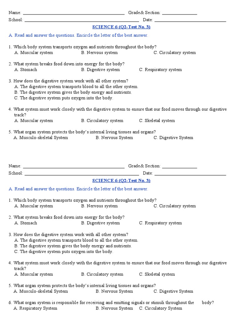 Science 6 - Q2 - Test No 3 | PDF | Human Body | Blood
