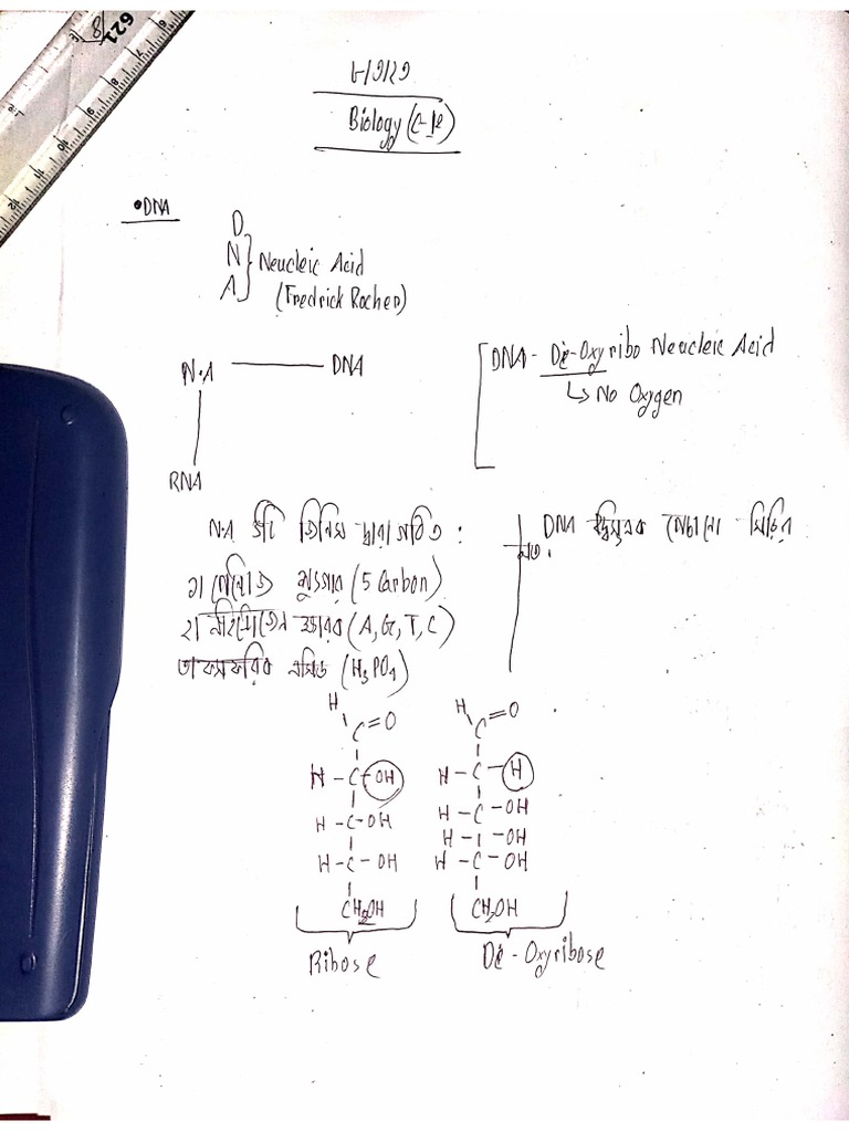 (RAW) Biology Chapter 12 (FHD) | PDF