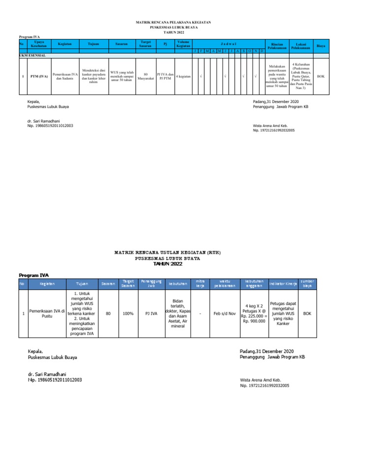 Ruk RPK Iva 2021 | PDF
