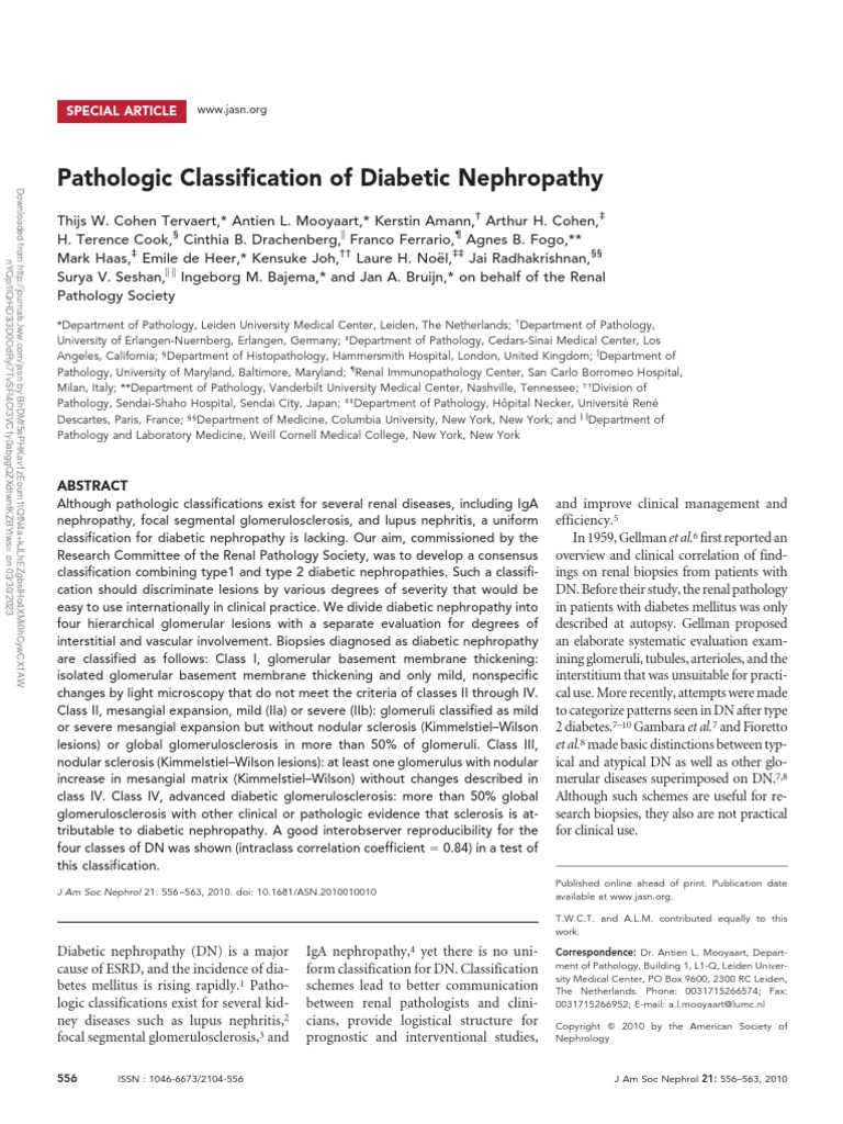 Pathologic Classification Of Diabetic Nephropathy 7 Pdf Clinical