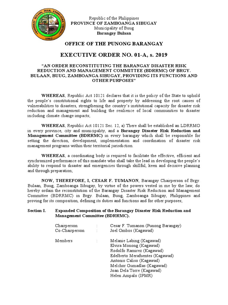 Barangay EO On BDRRMC | PDF | Disaster Risk Reduction | Risk Management