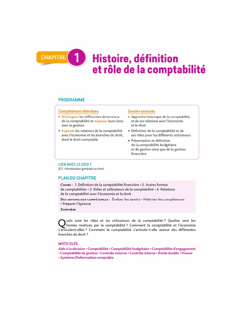 DCG 9 Chapitre1-2 (2862) | PDF