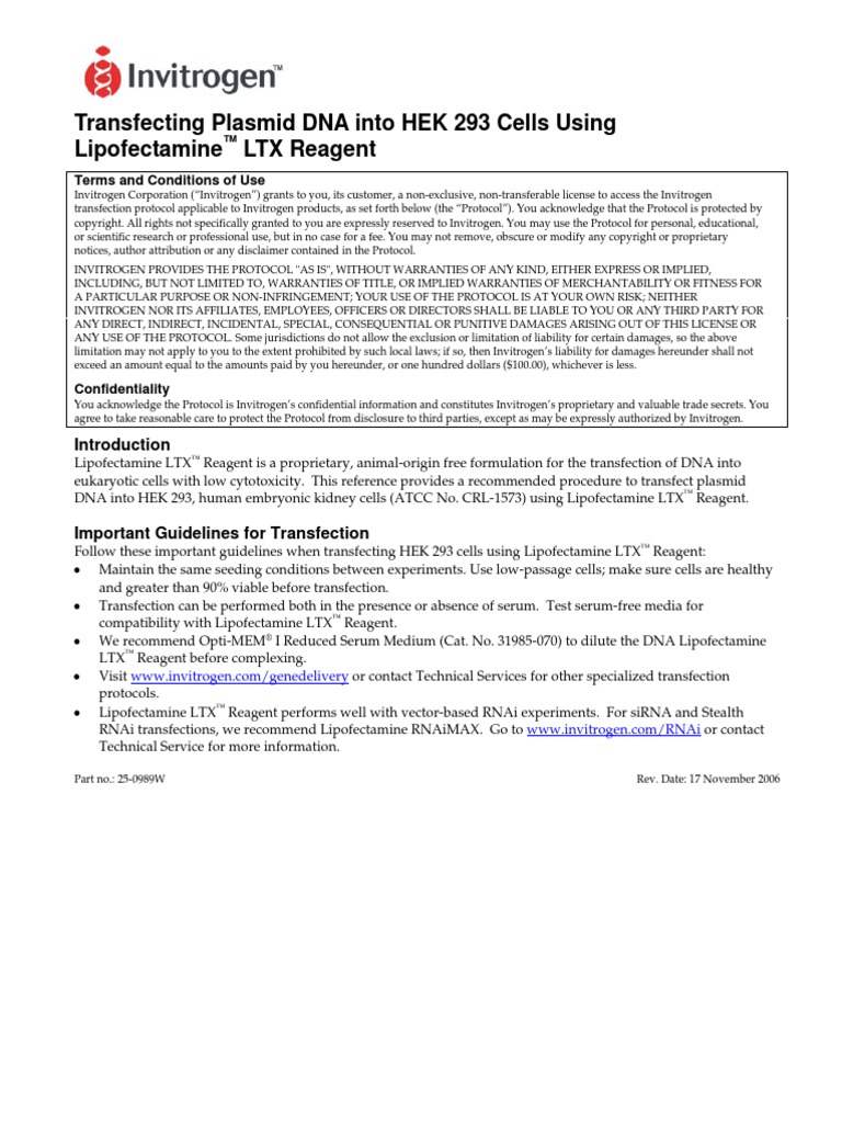 Transfecting Plasmid DNA Into HEK 293 Cells Using Lipofectamine LTX Reagent | PDF | Hek 293 ...
