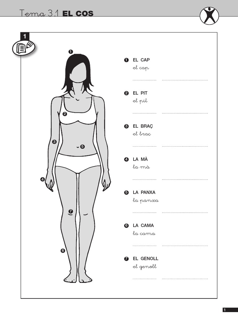 Oralpha - El Cos | PDF