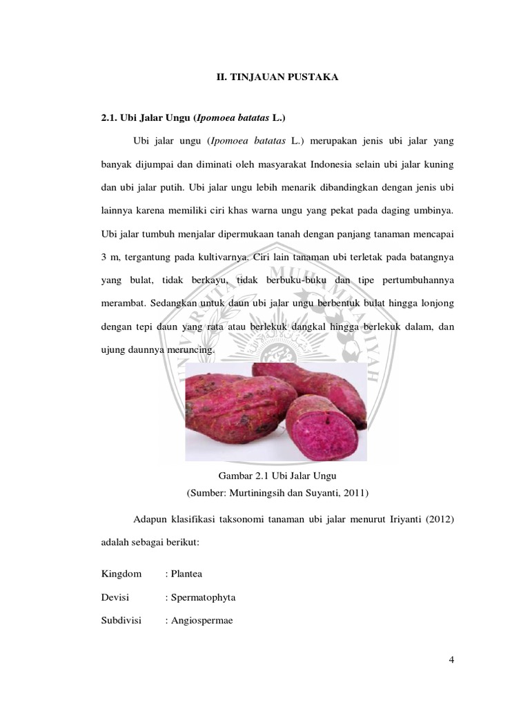 TEPUNG UBI JALAR UNGU DAN POTENSINYA SEBAGAI BAHAN SUBSTITUSI | PDF