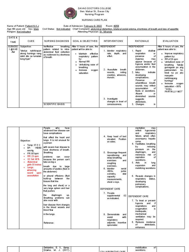 NCP - Ineffective Breathing Pattern | PDF | Lung | Breathing