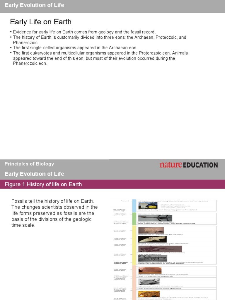 Early Life On Earth: Principles of Biology | PDF | Life | Eukaryotes