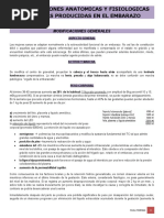 Efecto Poseiro | PDF | Placenta | Feto
