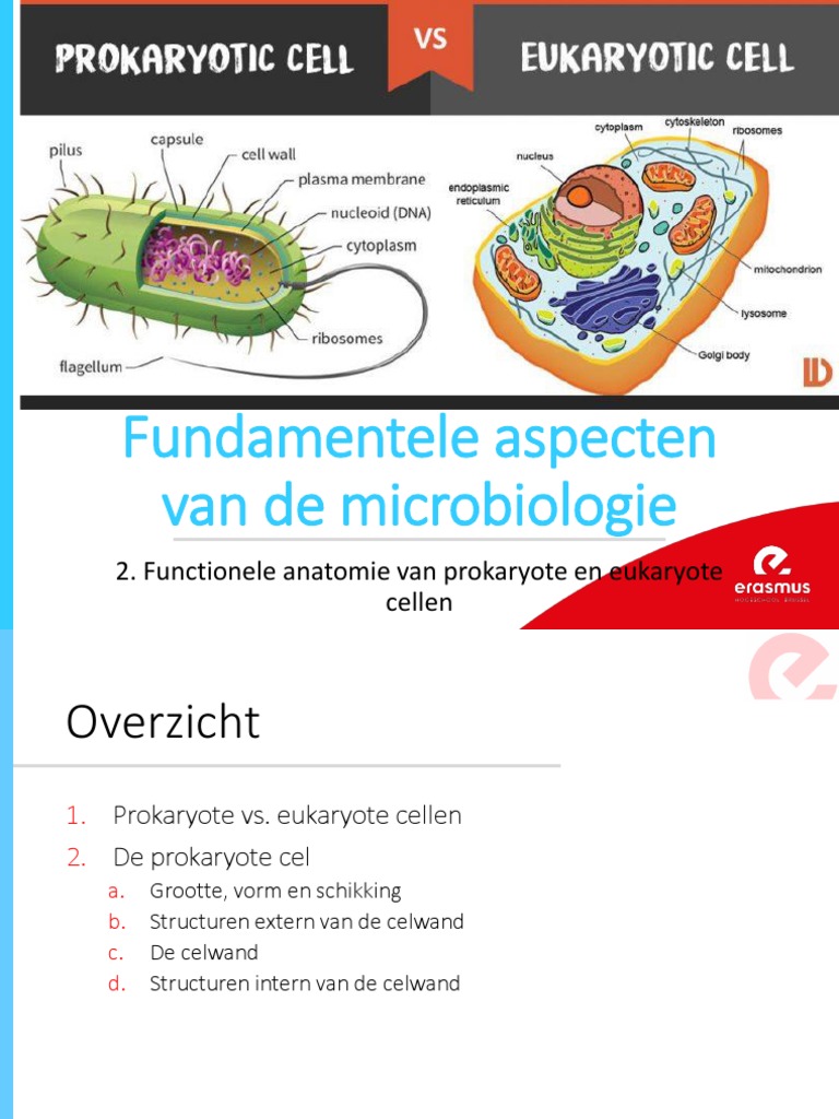 Deel 1 - H2 Les 2a | PDF
