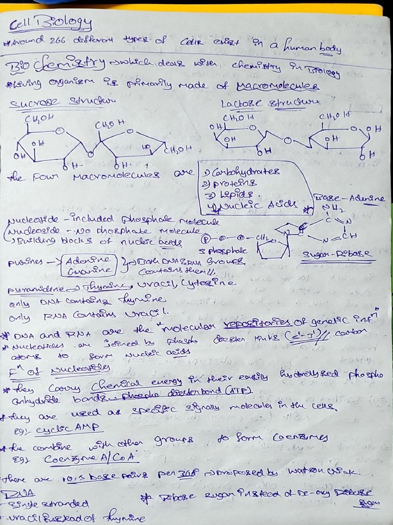 Life Science Short Notes | PDF