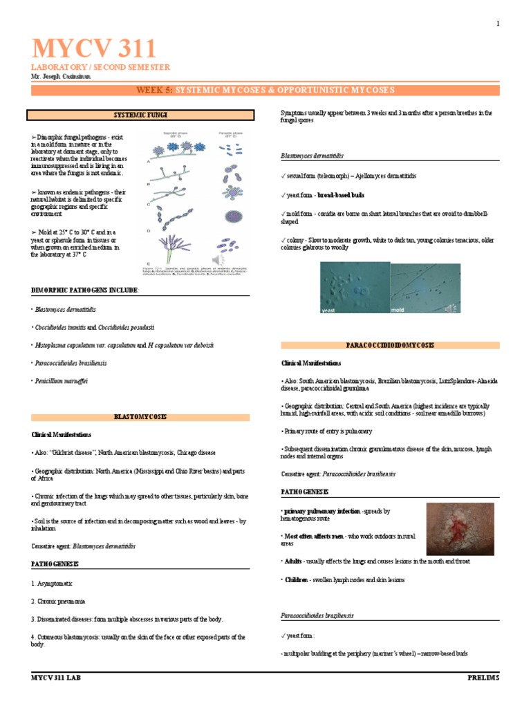 Systemic Mycoses & Opportunistic Mycoses Lab Report | PDF | Candidiasis ...