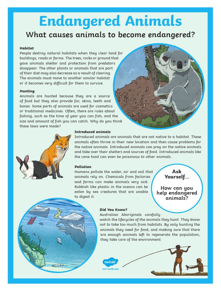 Endangered Animals: Habitat Loss, Hunting, and Pollution | PDF ...