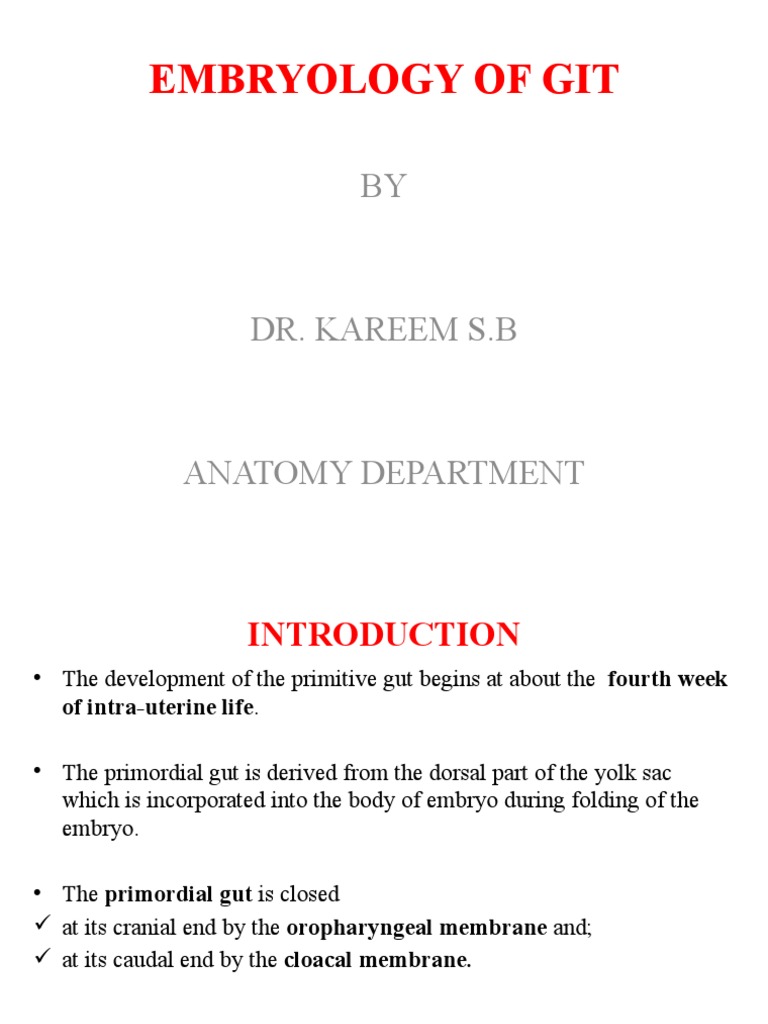 Histology of GIT | PDF