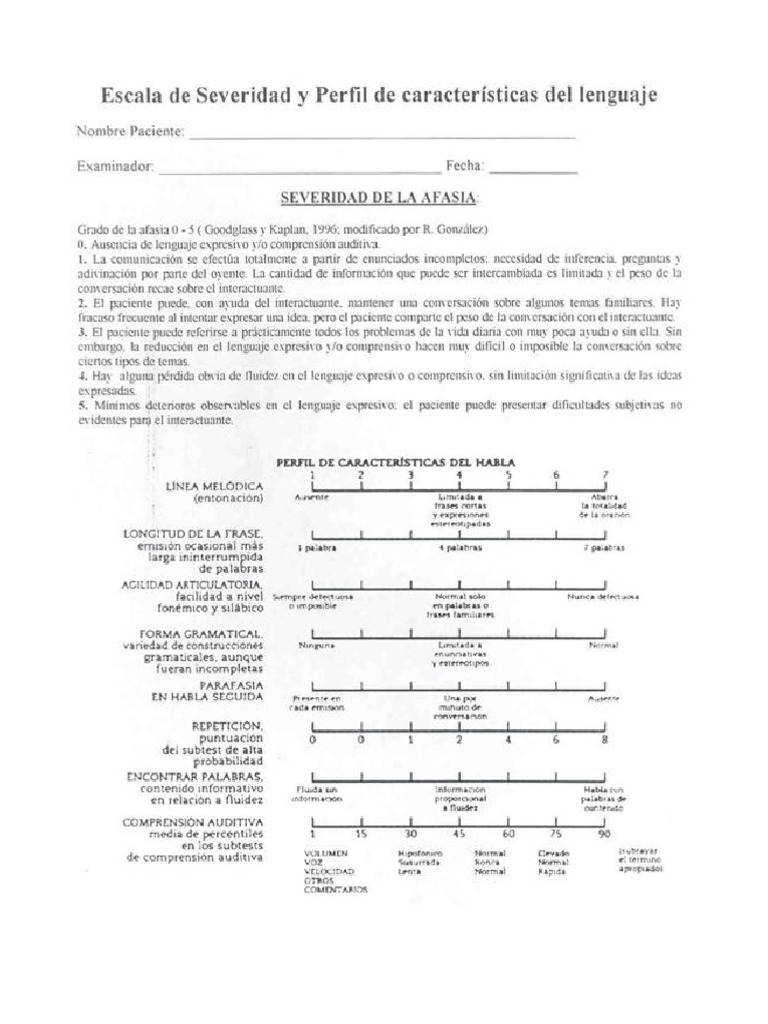 Escala de Severidad y Perfil de Características Del Lenguaje | PDF