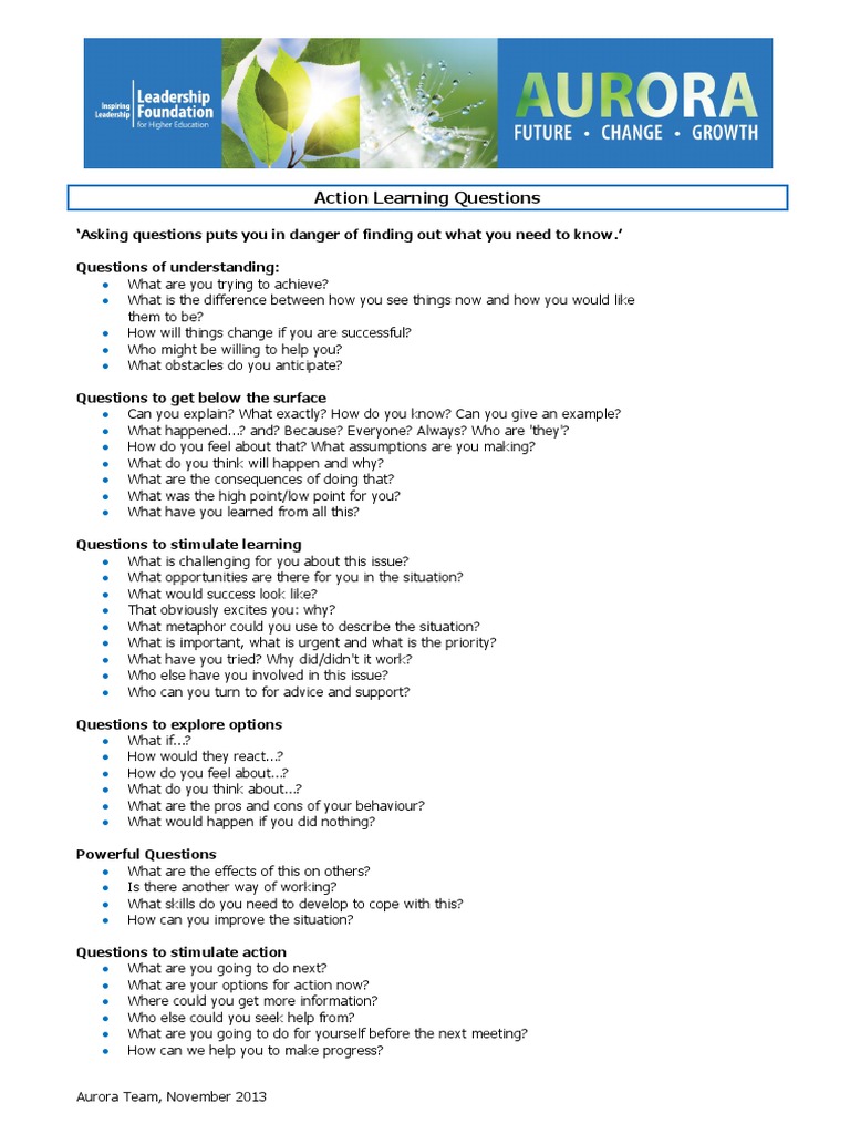 Action Learning Questions Guide | PDF