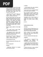 Grade 12 Notes | PDF | Autonomic Nervous System | Nervous System