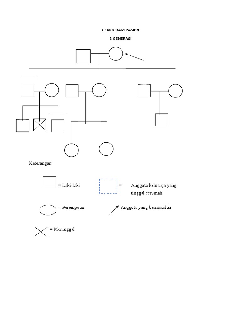 Genogram Pasien 3 Generasi: Keterangan | PDF