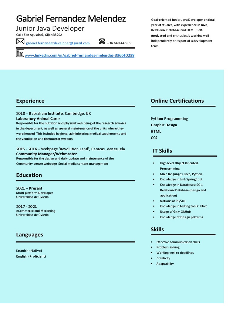 Junior Java Developer Profile | PDF | Software Engineering | Information Technology Management