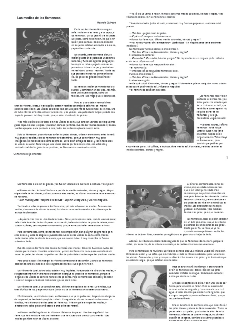 Las Medias de Los Flamencos. Edición para Los Alumnos | PDF